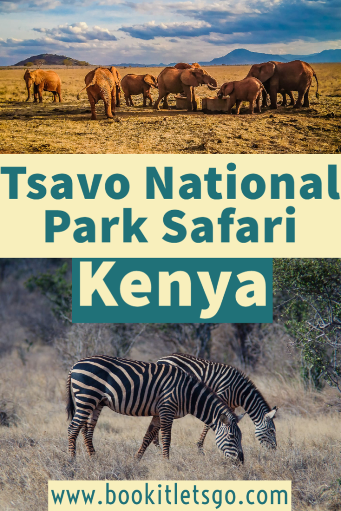 Tsavo National Park Safari: Complete 3-day itinerary.